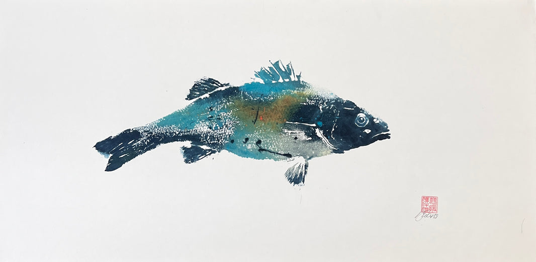 Unique, hand pressed, Gyotaku fine art prints of Fish – JANE EVANS GYOTAKU