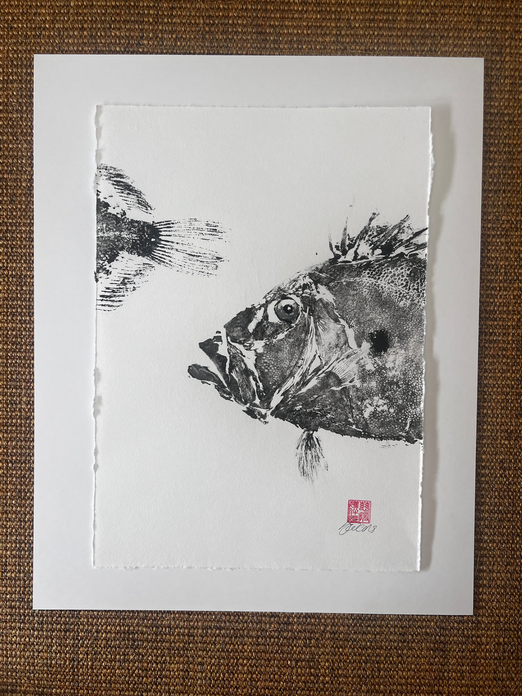 Unique, hand pressed, Gyotaku fine art prints of Fish – JANE EVANS GYOTAKU