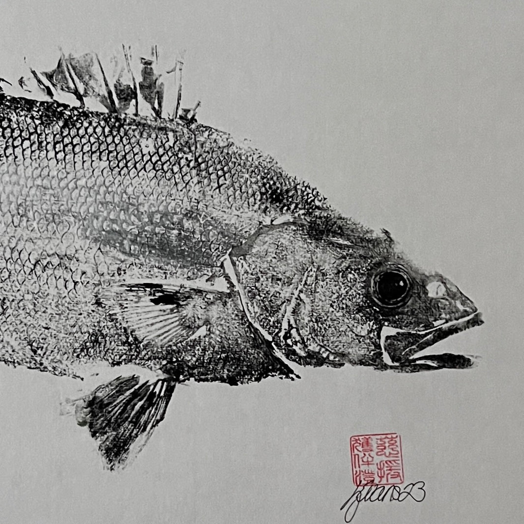 Unique, hand pressed, Gyotaku fine art prints of Fish – JANE EVANS GYOTAKU